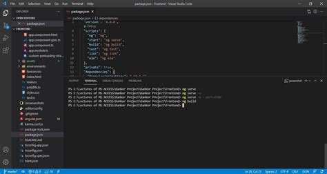 Angular Cli Shows No Output When Using “ng S Ong Sng Build” R