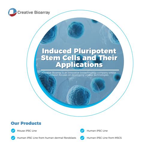 Product Brochures And Catalogues Creative Bioarray Creative Bioarray