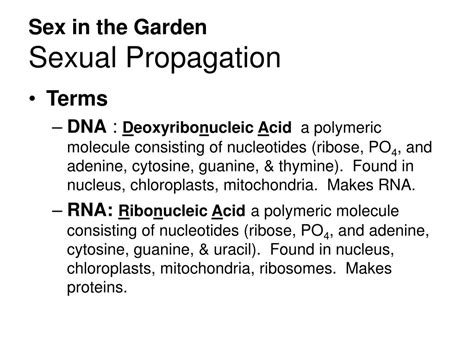 PPT Genetics Plant Breeding PowerPoint Presentation Free Download ID 6904749