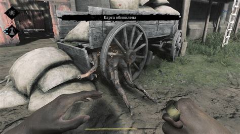 My Immolator Step Sister Stuck In Wheel Scrolller