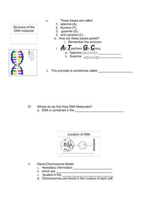 Dna Structure And Function Notes Doc