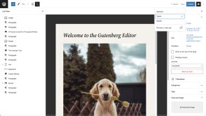 How To Use The View Feature Documentation WordPress Org