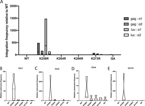 Quantification Of Integration Frequency Into Centromeric Regions By