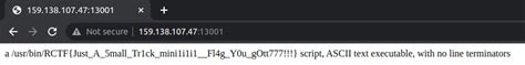 rctf 2022 hacking file uploads fireshell security team