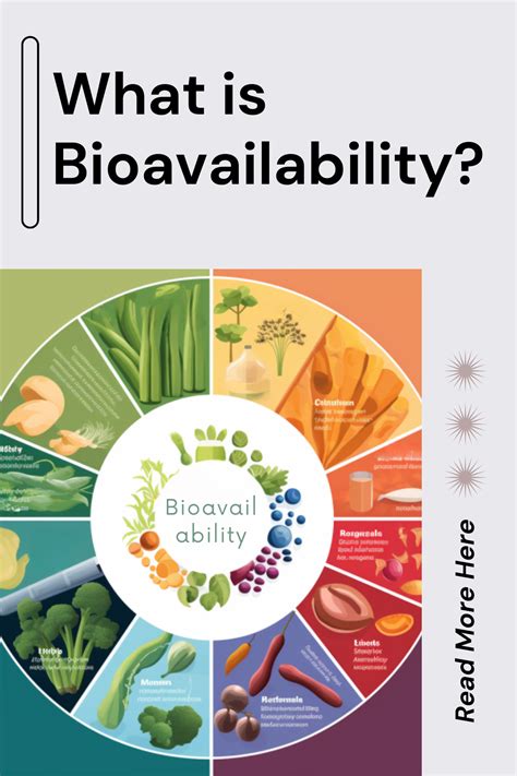 Bioavailability Artofit