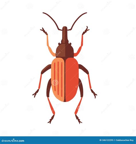 Red Palm Weevil On White Background Vector Illustration 273208022