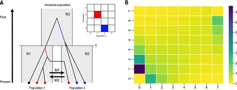 The Exact Joint Site Frequency Spectrum Of An Isolation With Migration