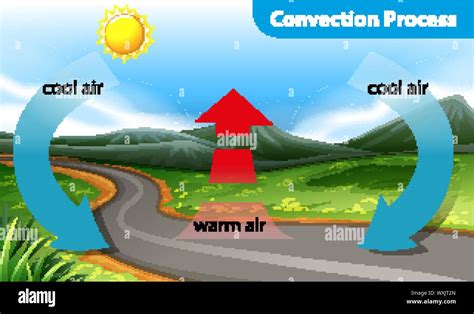 Diagram Showing Convection Process Illustration Stock Vector Image Art Alamy