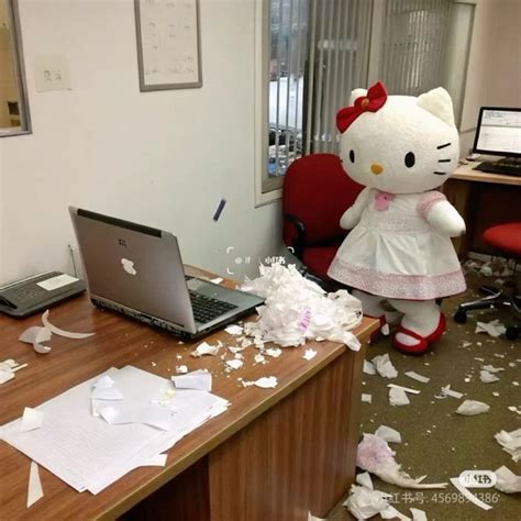 Hello Kitty에 있는 Mandie Fae님의 핀 2025 헬로키티 배경화면 재미있는 강아지 사진 헬로키티