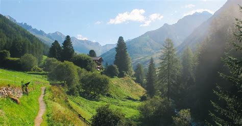 경치 경치가 좋은 고요한 골짜기 광야 그림 같은 길 나무 녹색 농촌의 당일 치기 여행 때묻지 않은 맑은 하늘 모험 목가적인 무성한 산 산길