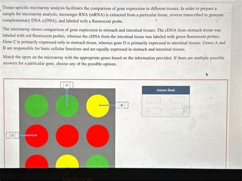 tissue specific microarray analysis facilitates the