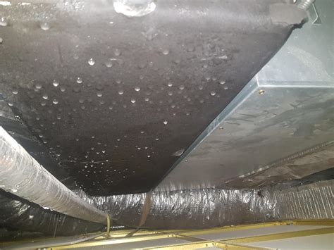Condensation On Ceiling Diffusers Shelly Lighting
