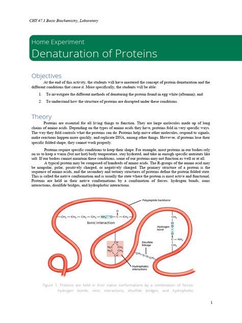 chy47 1 denaturation of proteins 2nd sem sy 2022 2023 pdf