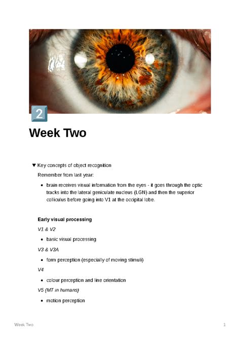 week two cog 3rd year cognition lecture and reading notes in depth