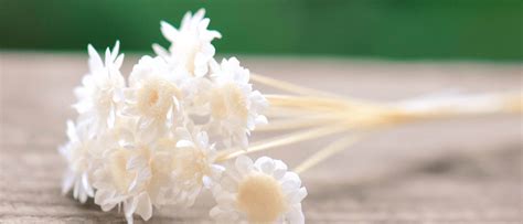 数据库 实操指南 Resource Queue如何实现对analyticdb Postgresql的资源管理？ 干货技术博文