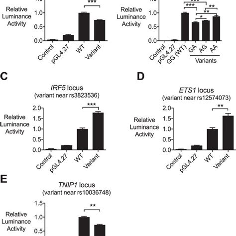 Luciferase Assays Showing Effects Of Novel Variants On Gene Expression