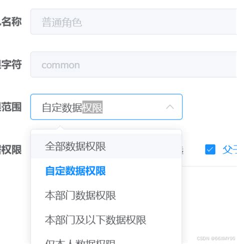 Ruoyi数据权限展示功能分析 Paramsdatascope Csdn博客 Ruoyi数据权限展示功能分析 Paramsdatascope Csdn博客