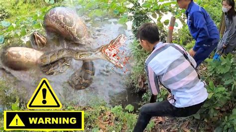 A Group Of Brave Hunters Saves A Girl From Being Eaten By A Giant