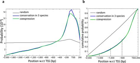 Positional Distribution Of Tfbss In The Promoter Of Genes In A