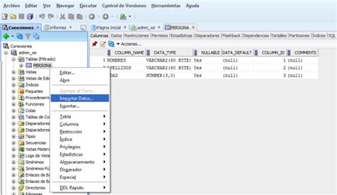 importar datos de excel a una tabla oracle con sql developer tihuilo