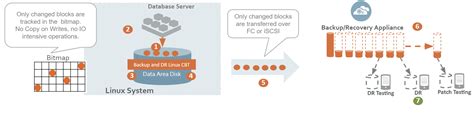 Backup And DR Service For SAP MaxDB Google Cloud
