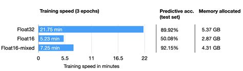 Accelerating Large Language Models With Mixed Precision Techniques