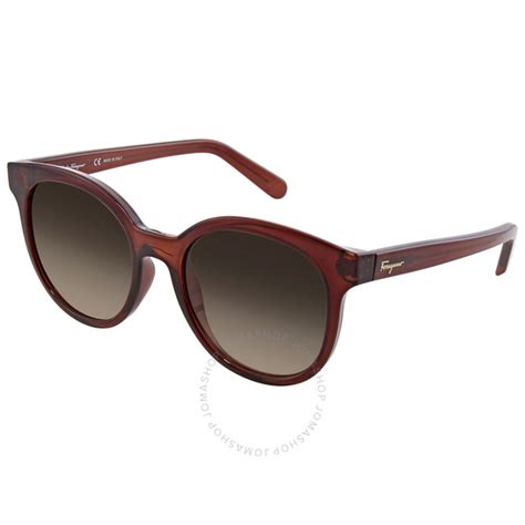 Salvatore Ferragamo Brown Gradient Round Sunglasses Sf833s 210 53