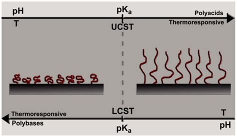 Thermo And Ph Responsive Behavior Of Polymers The Polymers That Download Scientific Diagram