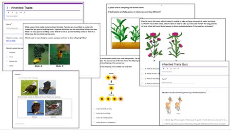3rd Grade Science Practice Inherited Traits 3ls31 Paper And Digital