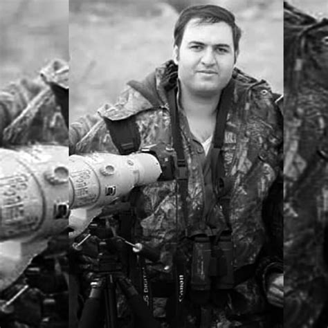 سید بابک موسوی فروش تابلو عکس