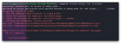 Common Questions · Issue 17 · Sonyflutter Elinux · Github