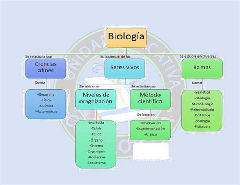 Mapa Conceptual Biología Pdf