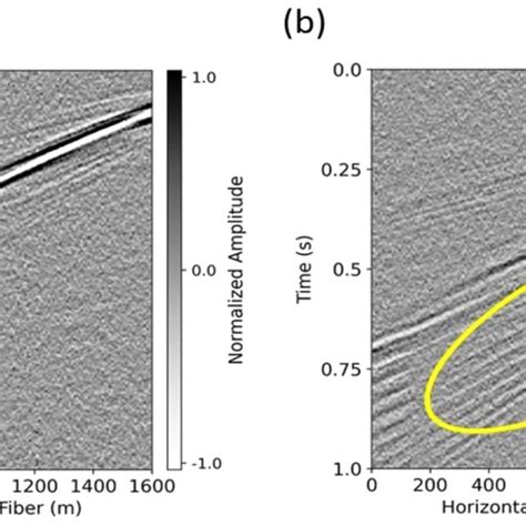 Field Microseismic Event Examples A A Distributed Acoustic Sensing Download Scientific