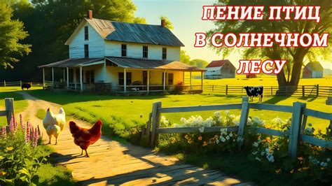 ПЕНИЕ ПТИЦ В СОЛНЕЧНОМ ЛЕСУ ИСЦЕЛЯЕТ ОТ ТРЕВОГ И ПЛОХОГО НАСТРОЕНИЯ СПОКОЙНЫЕ НЕРВЫ СПОКОЙНЫЙ