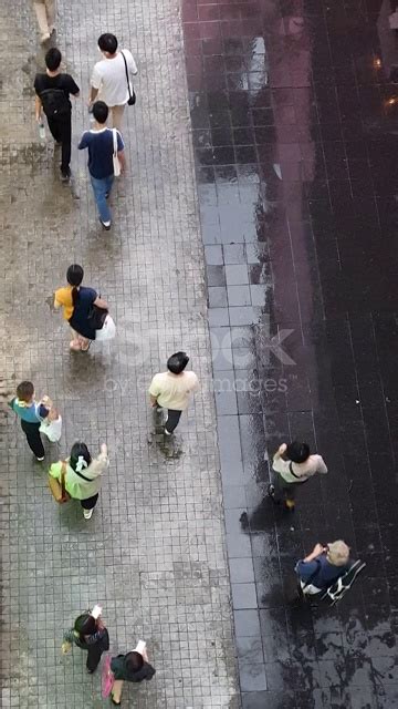 Train Data 15 Object Detection Dataset By Hcmut5