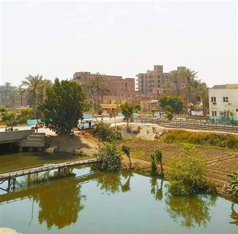 اخبار مدينة المنوات Giza