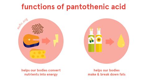 Pantothenic Acid Vitamin B5 Foods Functions How Much Do You Need And More Eufic