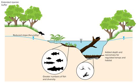 Mid South Watergroundwater Surface Water Interaction Mid South Water