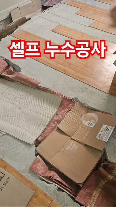 누수가 멈추고 이 집에 평화가 찾아 오기를 간절히 바랍니다 Youtube