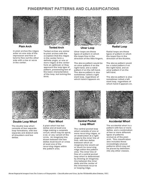 The Secret Of Forensics Fingerprint Patterns