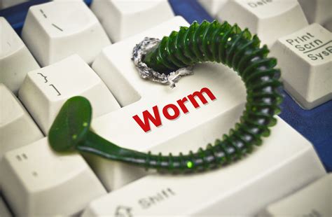 What Is A Worm Virus On A Computer Wearejuja