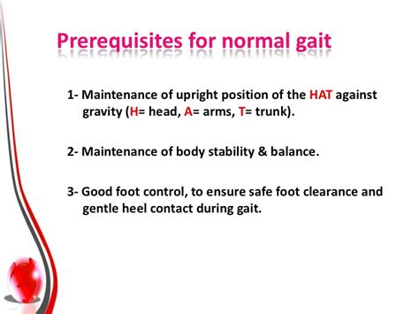 Gait Analysis