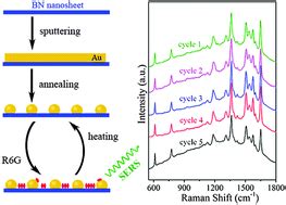 Boron Nitride Nanosheets As Improved And Reusable Substrates For Gold Nanoparticles Enabled
