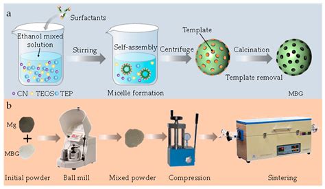 Biodegradation And Cell Behavior Of A Mg Based Composite With