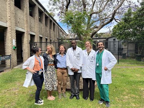 Vet Hospital Sydney At Rose Wilkins Blog
