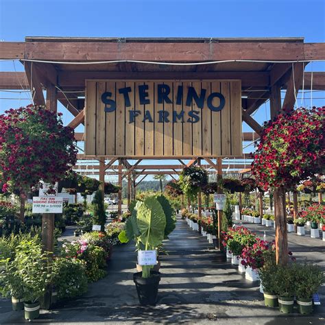 Sterino Farms Sterino Farms Added A New Photo