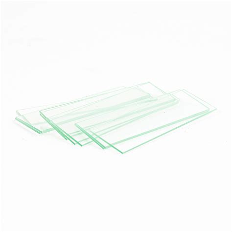 Amscope Microscope Slides 100 Blank Slides With 100 Cover Glass Swiftsly