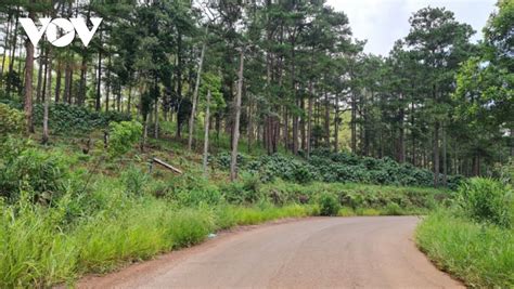 Điều chỉnh quy hoạch khai thác quặng bô xít ở Lâm Đồng vì ảnh hưởng rừng