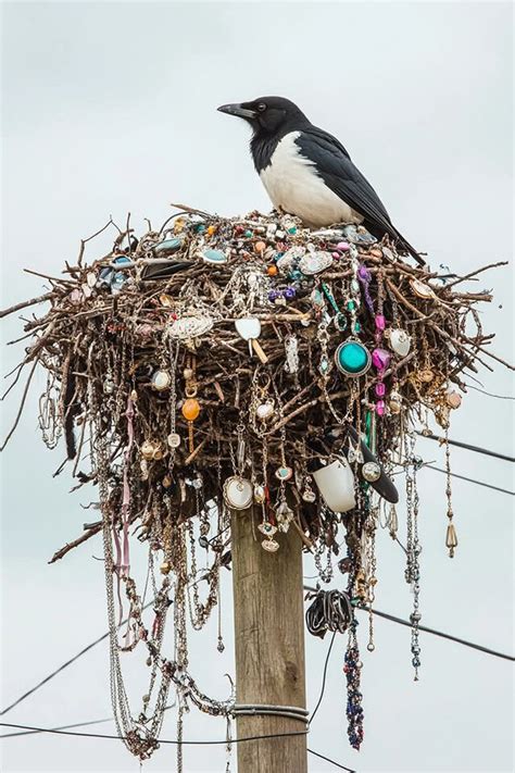 Кратка история на империализма ®️ ™️ Assoc Prof Daniel Danov Phd