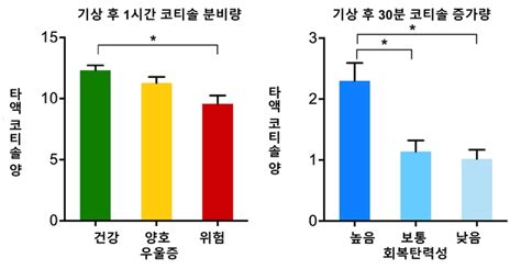 메디포뉴스